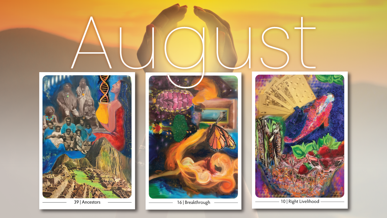 August 2024 Insight Images