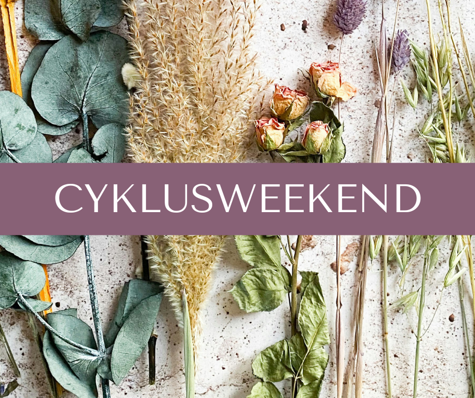Cyklusweekenden - Bliv klogere på din menstruationscyklus og hormonbalance