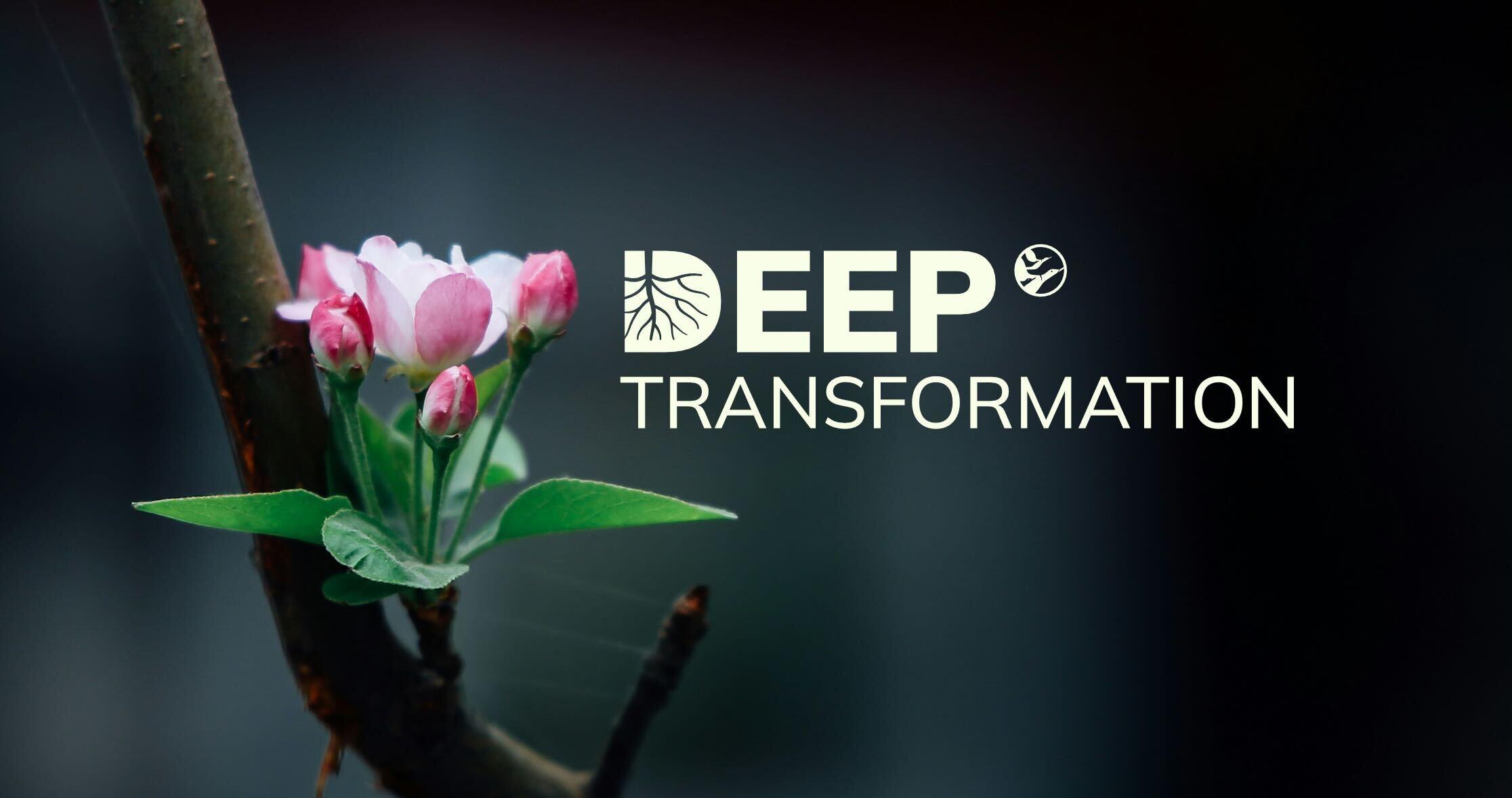 Deep Transformation Preview