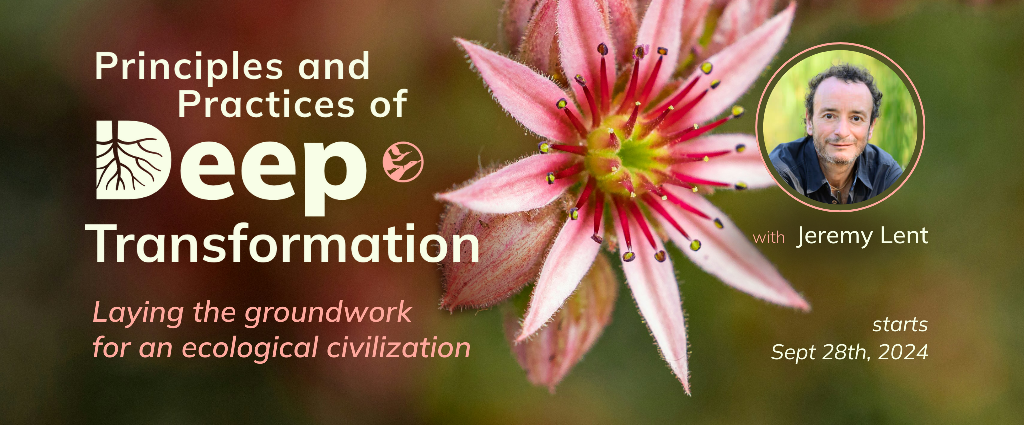 A taste of the Deep Transformation experience - Gaia Education