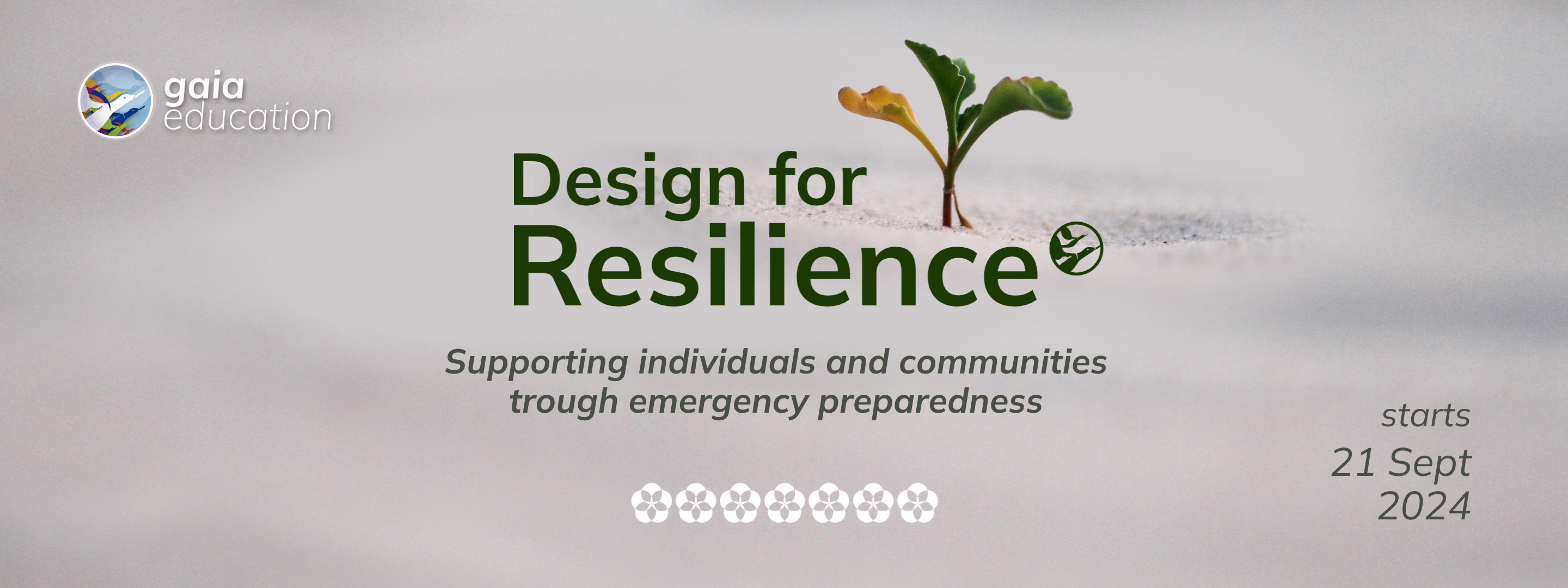 Design for Resilience: Meet our Resilience Master!