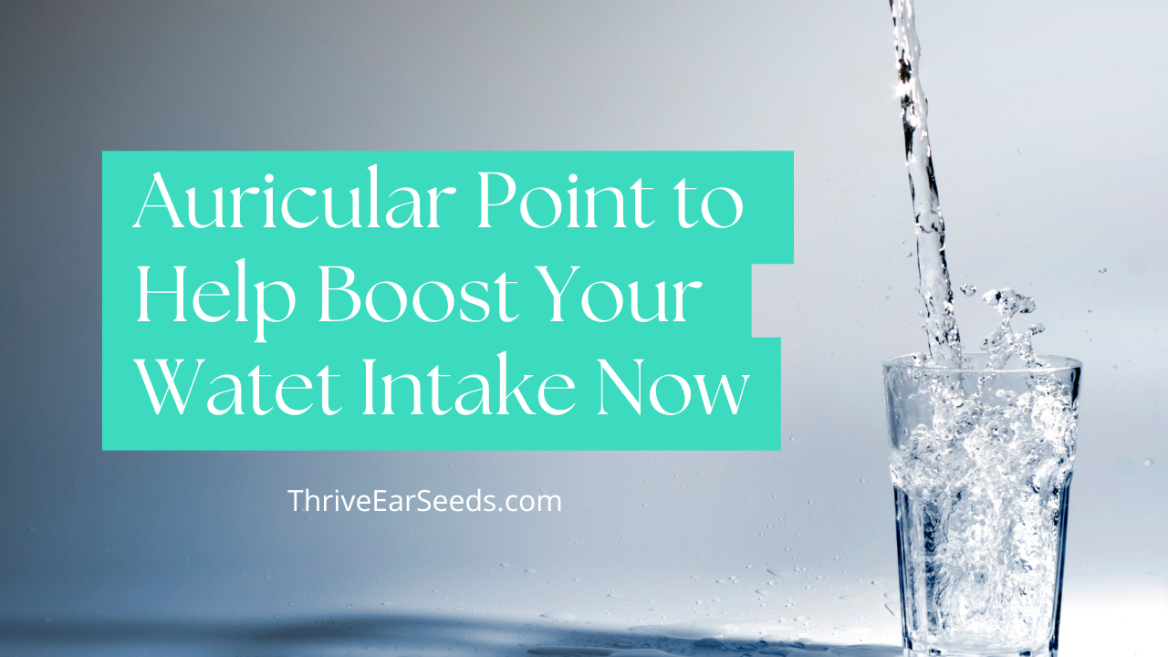 The Auricular Point to Help You Hydrate, Boosting Energy and Fat Burn ...