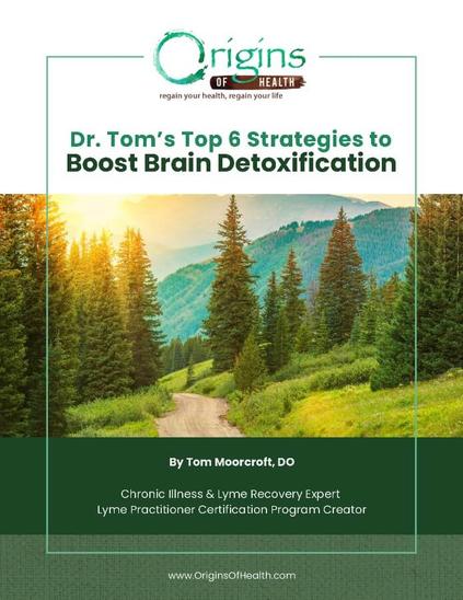 Free Top 6 Strategies to Boost Brain Detoxification