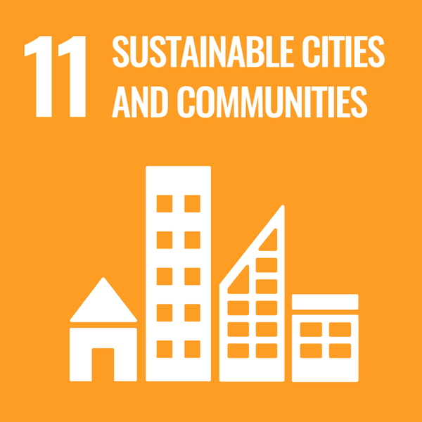 SDG 11 - Sustainable Cities and Communities explained