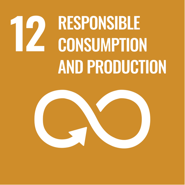 SDG 12 - Responsible Consumption and Production explained