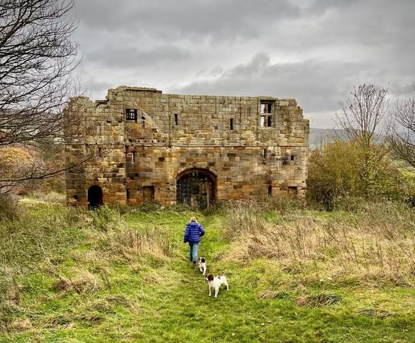 Whorlton Castle Yorkshire Treasures