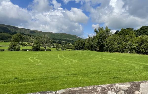 Grass Yorkshire Treasures