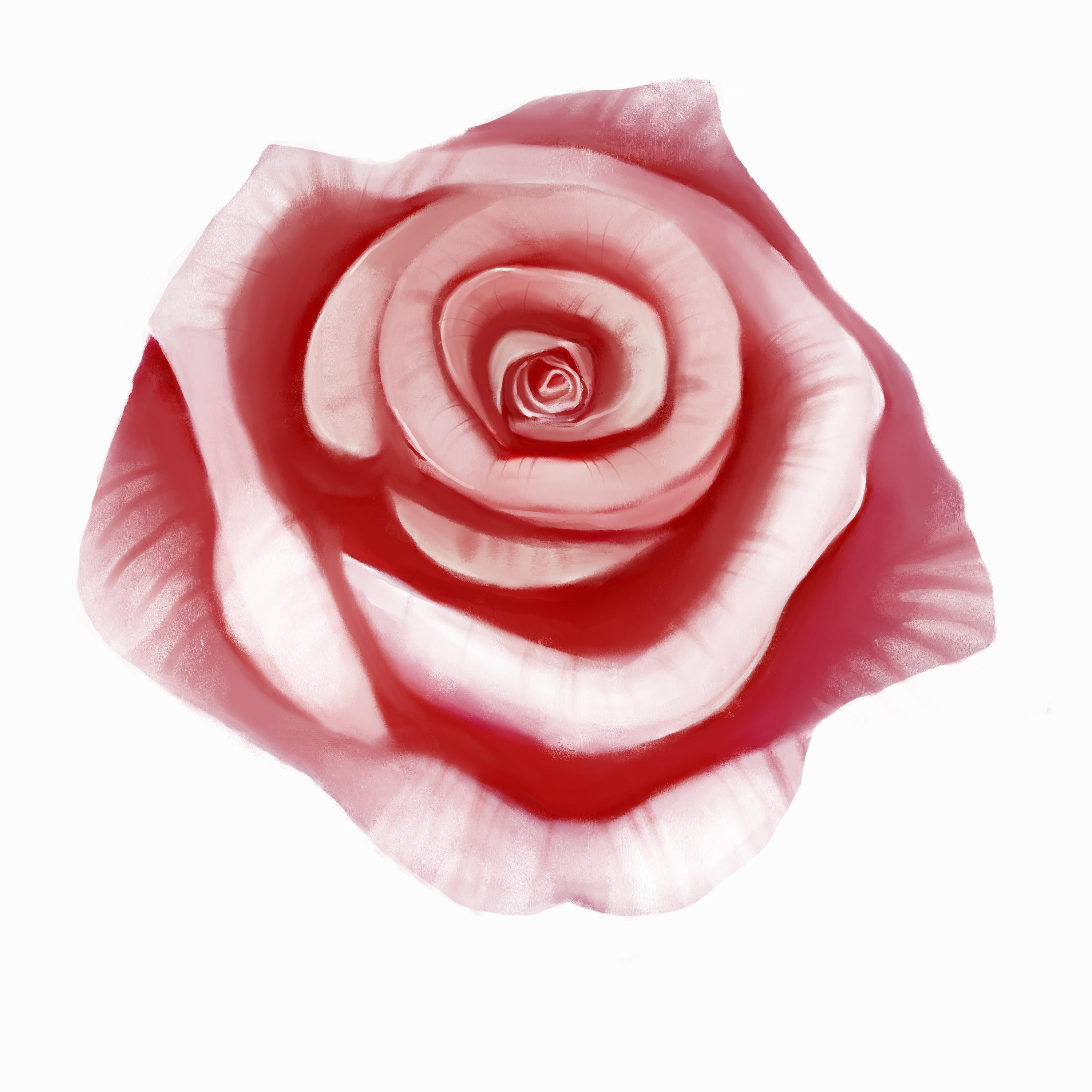 A creative end of year ritual for hope and resilience Karin von Daler