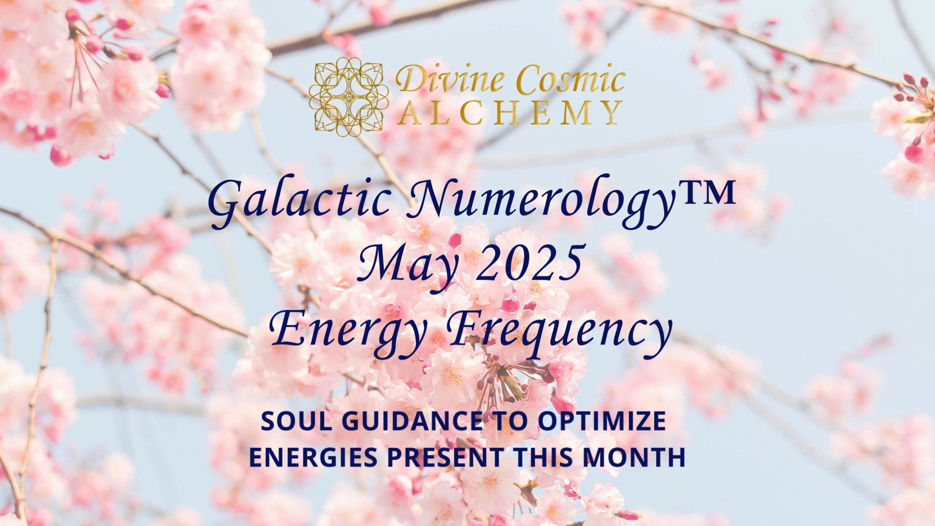 Welcome to May 2025 Galactic Numerology™ Energy Frequencies