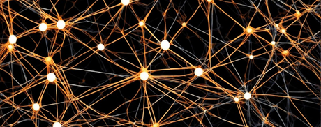 Connective Roots Course | Build Regenerative Culture & Connection Skills