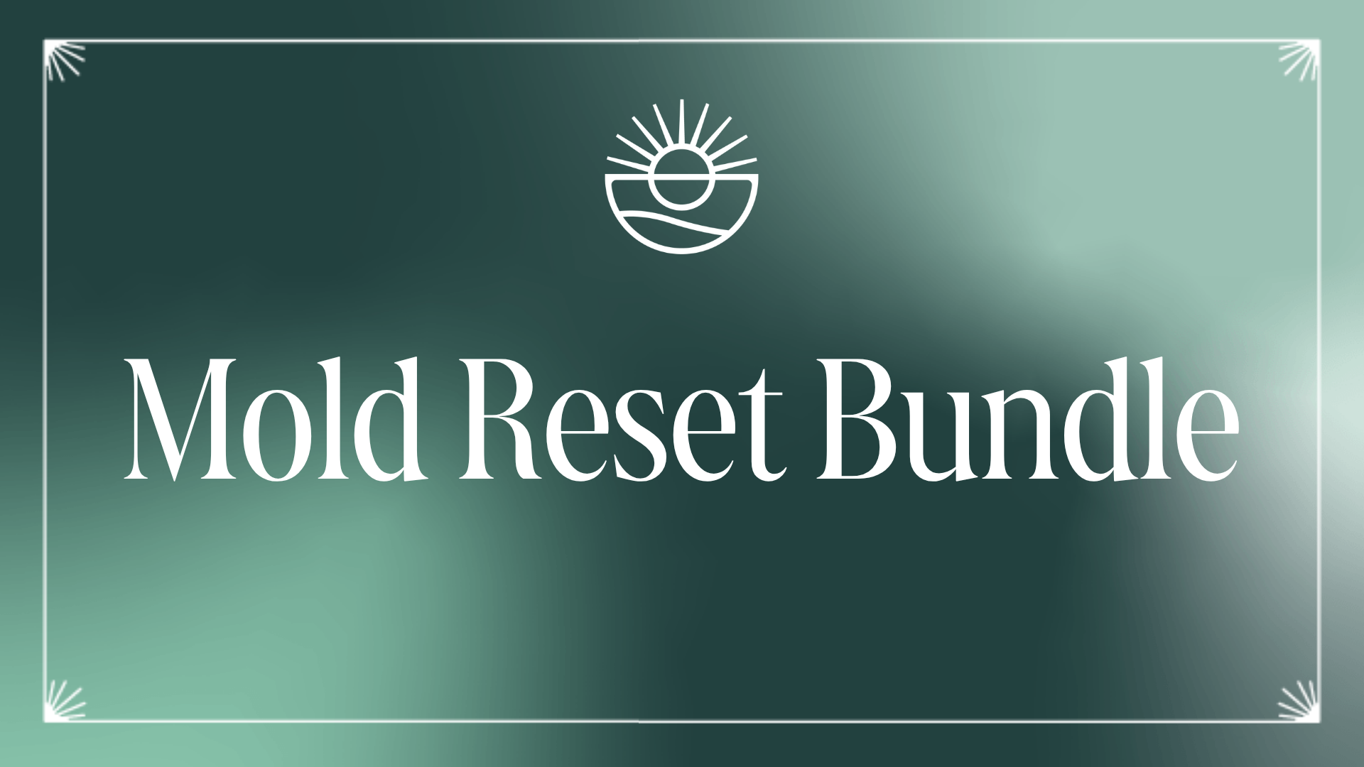 Mold Reset Bundle - Detox Nation™️