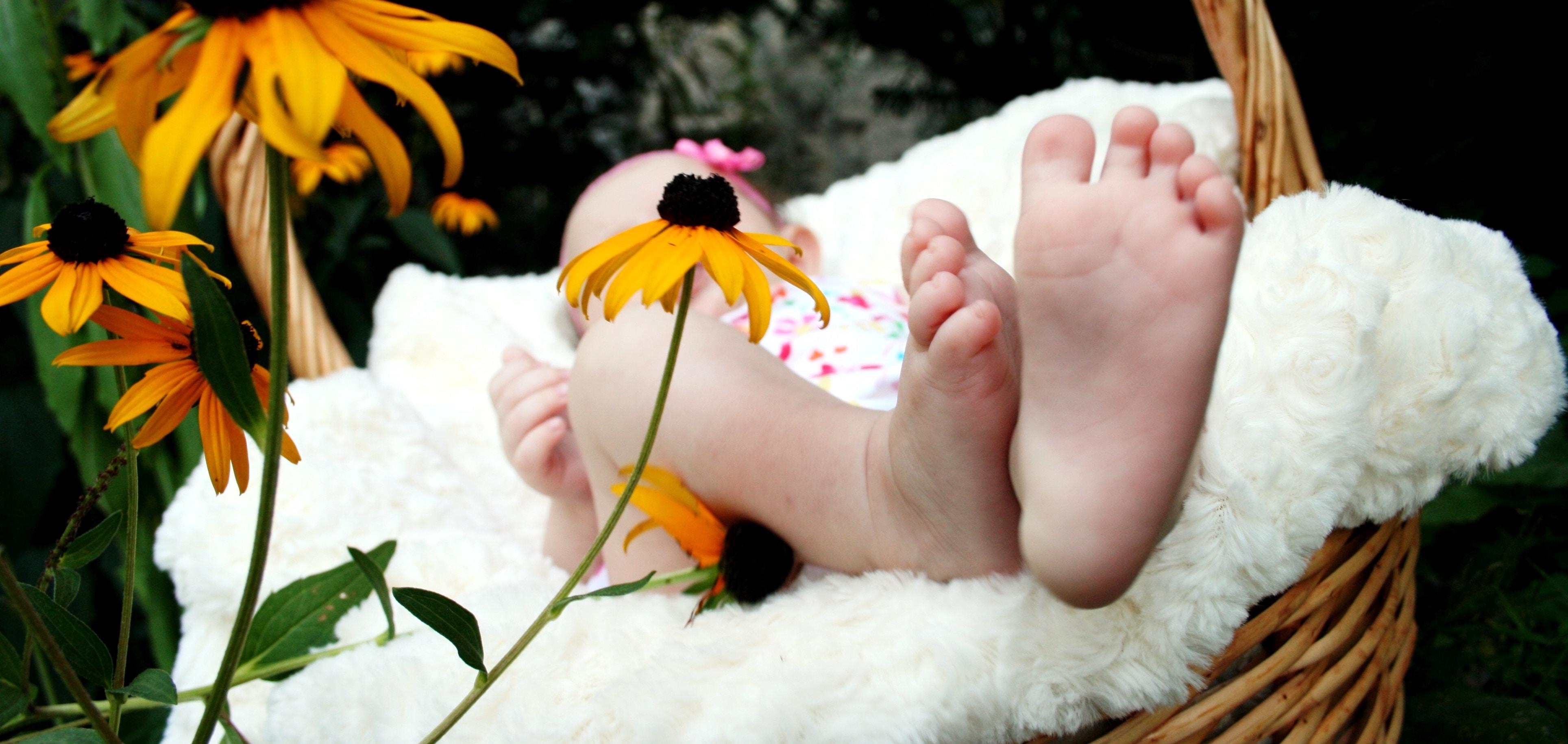 O Baby! - Ecstatic Birth