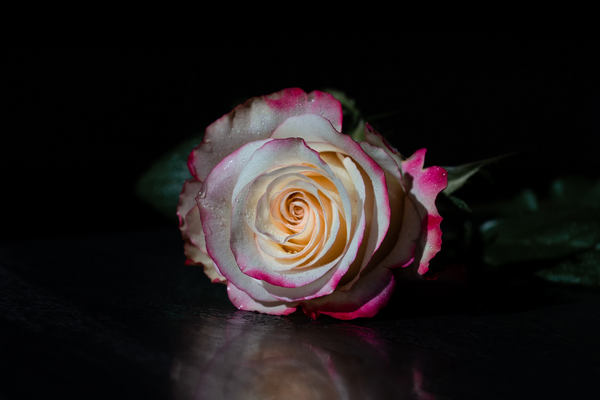 Yes! Writing is scary! - Sarah Selecky Writing School