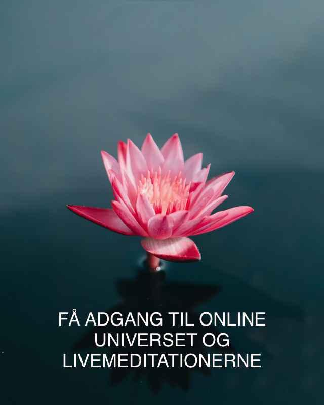 Forside - Jesper Westmark online