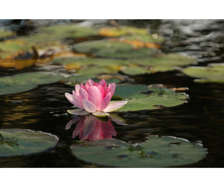 Work is Sacred - Jane Midgley Coaching