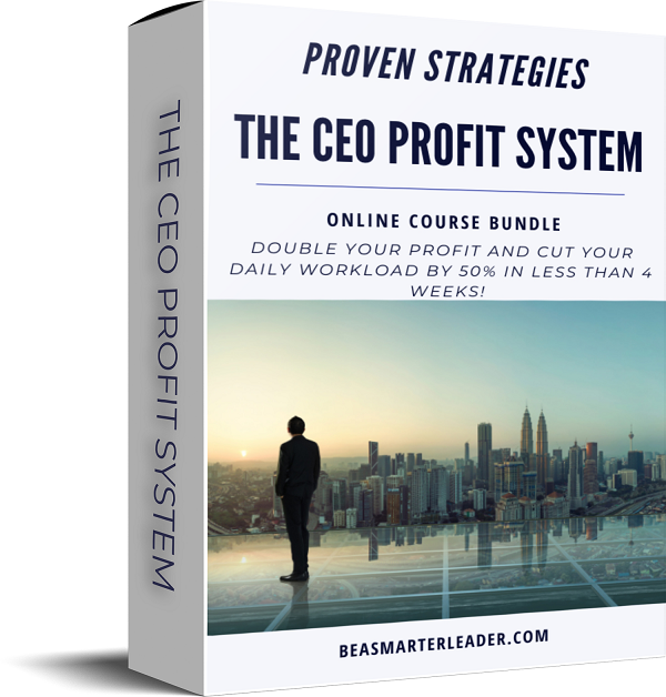 The CEO Profit System - BeASmarterLeader