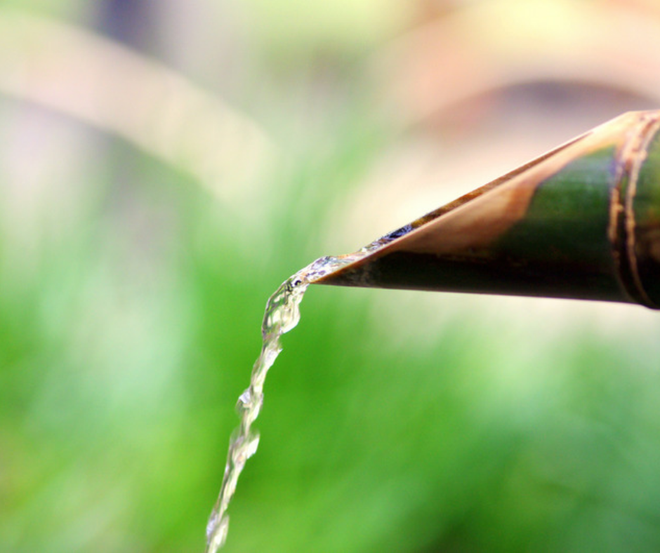 Embody Flow at Work - Jane Midgley Coaching