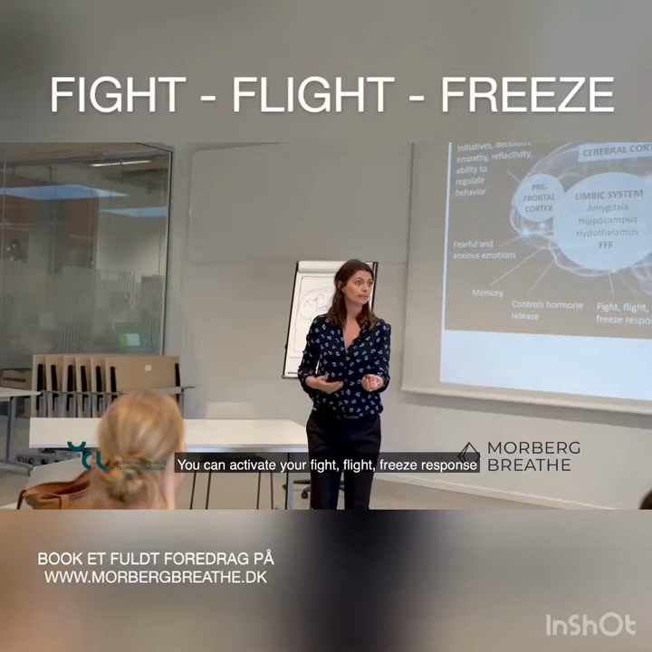 Fight-Flight-Freeze Response - Morberg Breathe