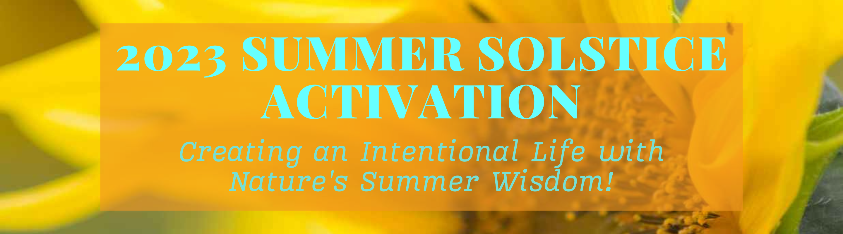 2023 Summer Solstice Activation