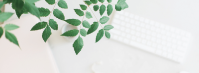 Profit First Percentages Explained - Nourish Your Numbers