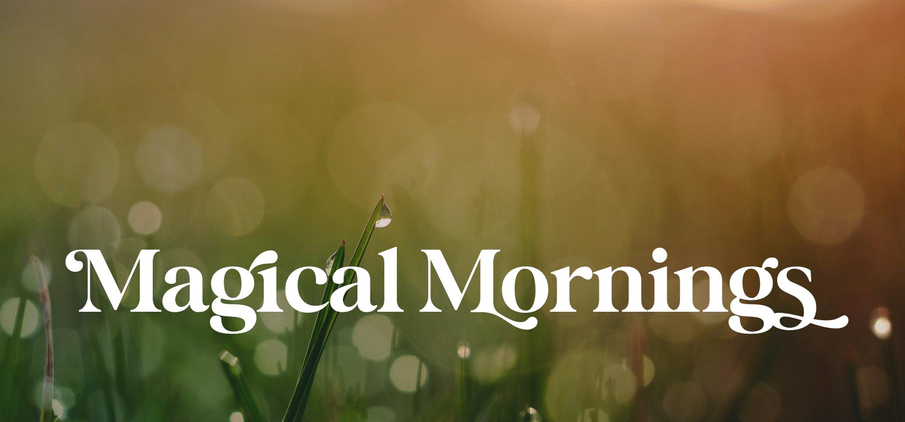 Magical Mornings - Meghan Genge