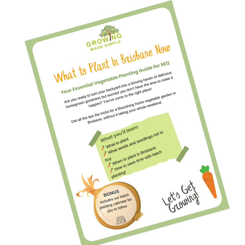 newsletter - Growing Made Simple