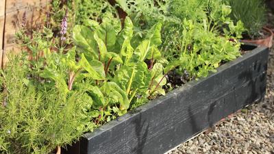 How to make your own moveable raised bed - step by step