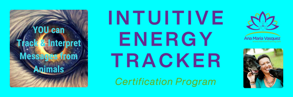 Intuitive Energy Tracker Certification Program