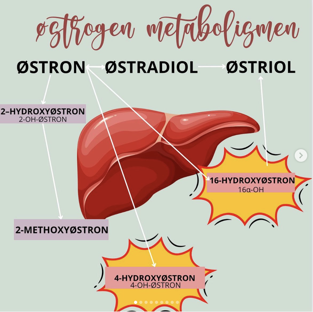 ØSTROGEN-DETOX? - Institut for Komplementær Hormonterapi